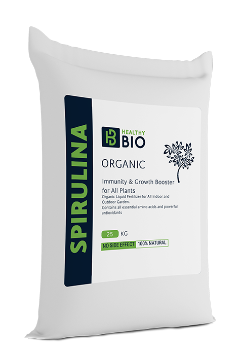 Plant – Healthy Bio